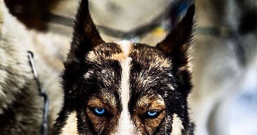 Penjelasan Normal Angle - Zona Fotografi Indonesia