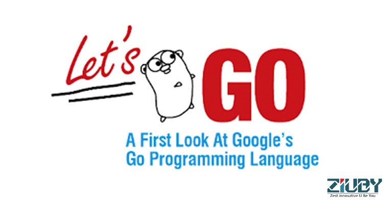 Web Designing & Development: GO