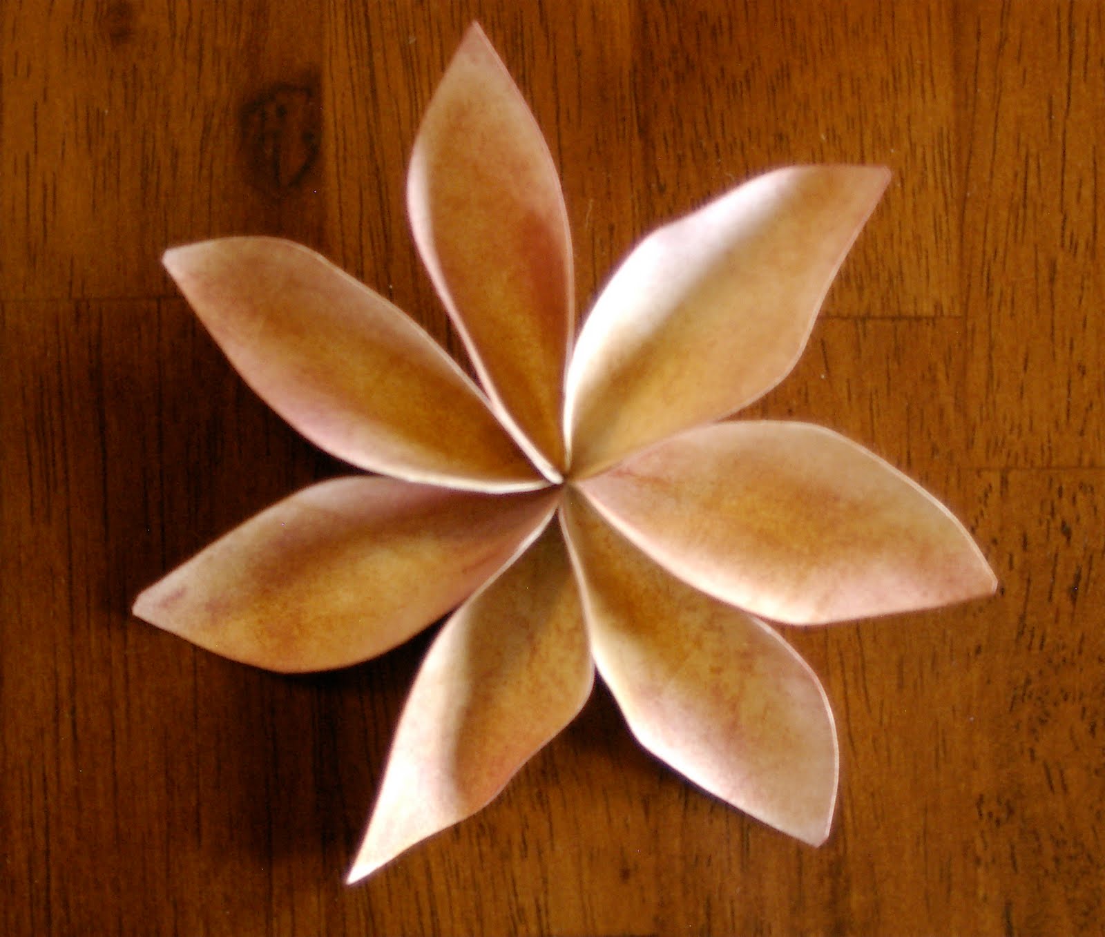 Scrapbook Savvy: Paper Flower Tutorial