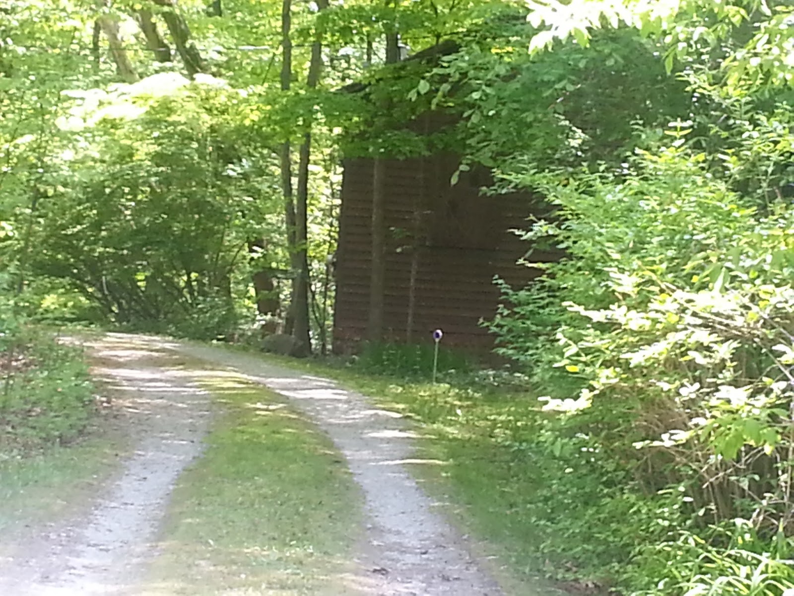 Johnnycake-Hopkins School: Hopkins School Photographs and Brief History