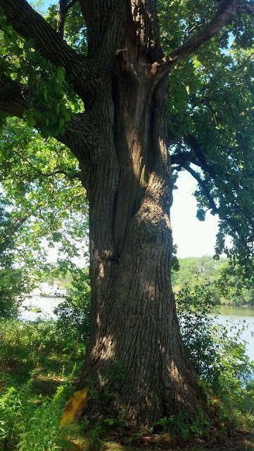 Nurture Spirit: A Special Place