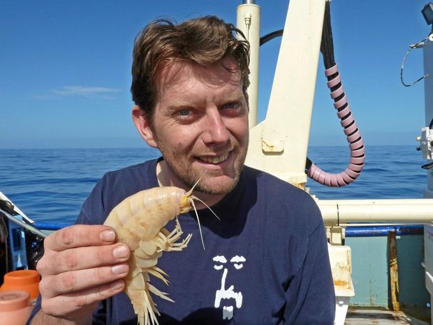 René Capo, Plaidoyer pour une planète propre