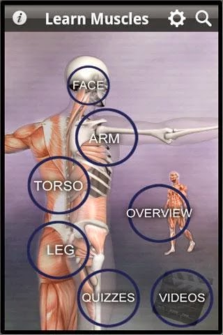 Amazon Free App: Learn Muscles: Anatomy ~ Apps do Android