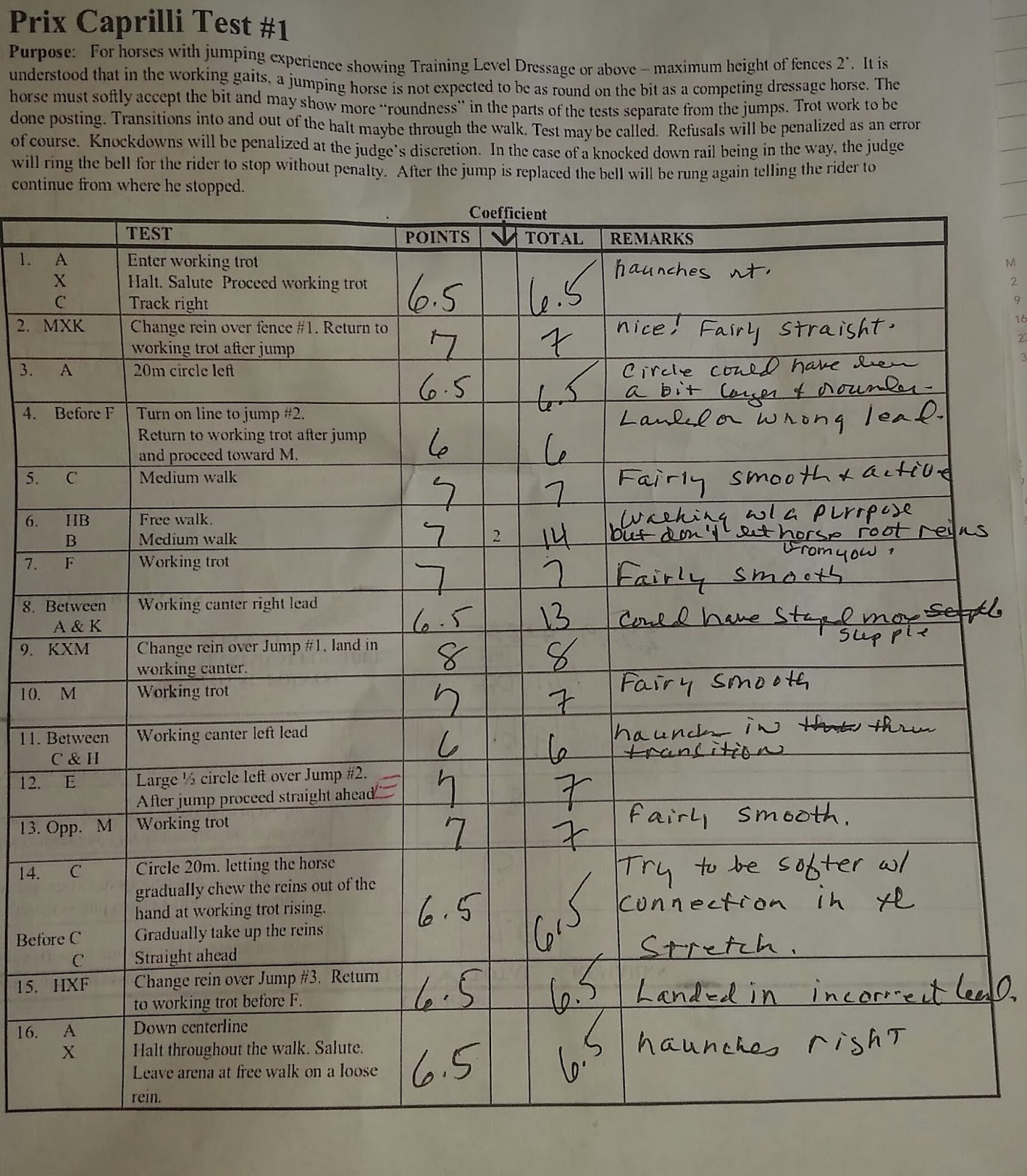 Apping it up: Prix Caprilli debut......coming very late. But there is ...