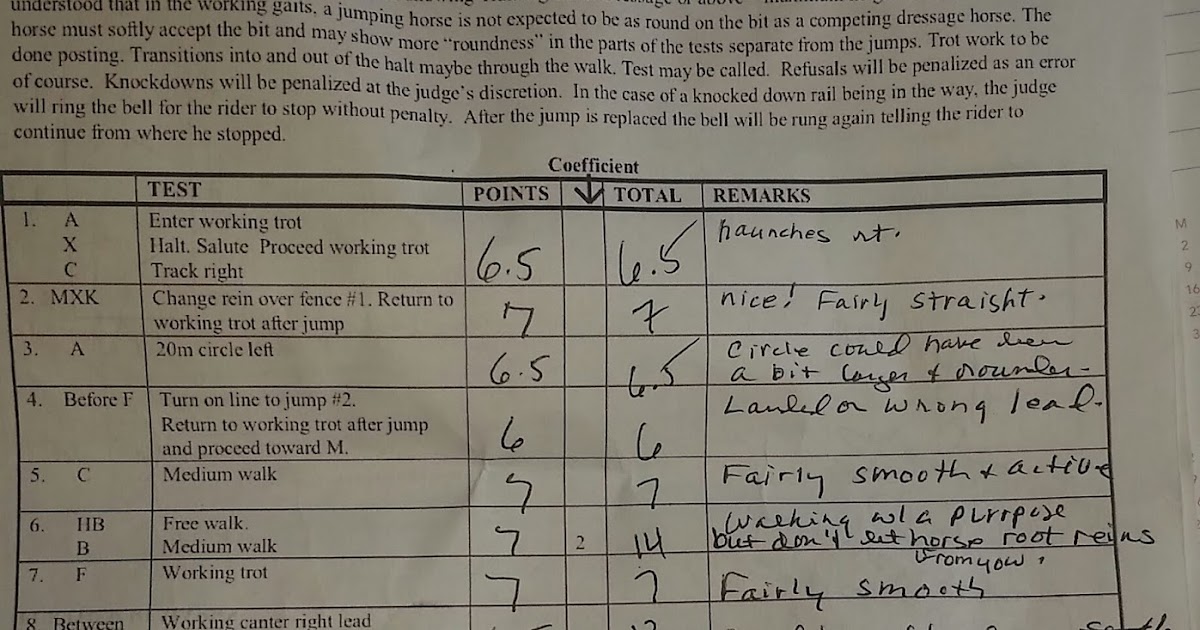 Apping it up: Prix Caprilli debut......coming very late. But there is ...