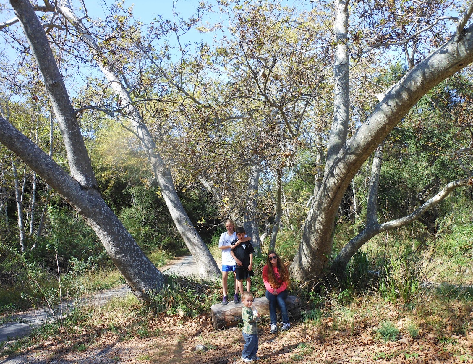 1000 Hikes in 1000 Days: Day 468: Sullivan Canyon Trail - Westridge ...