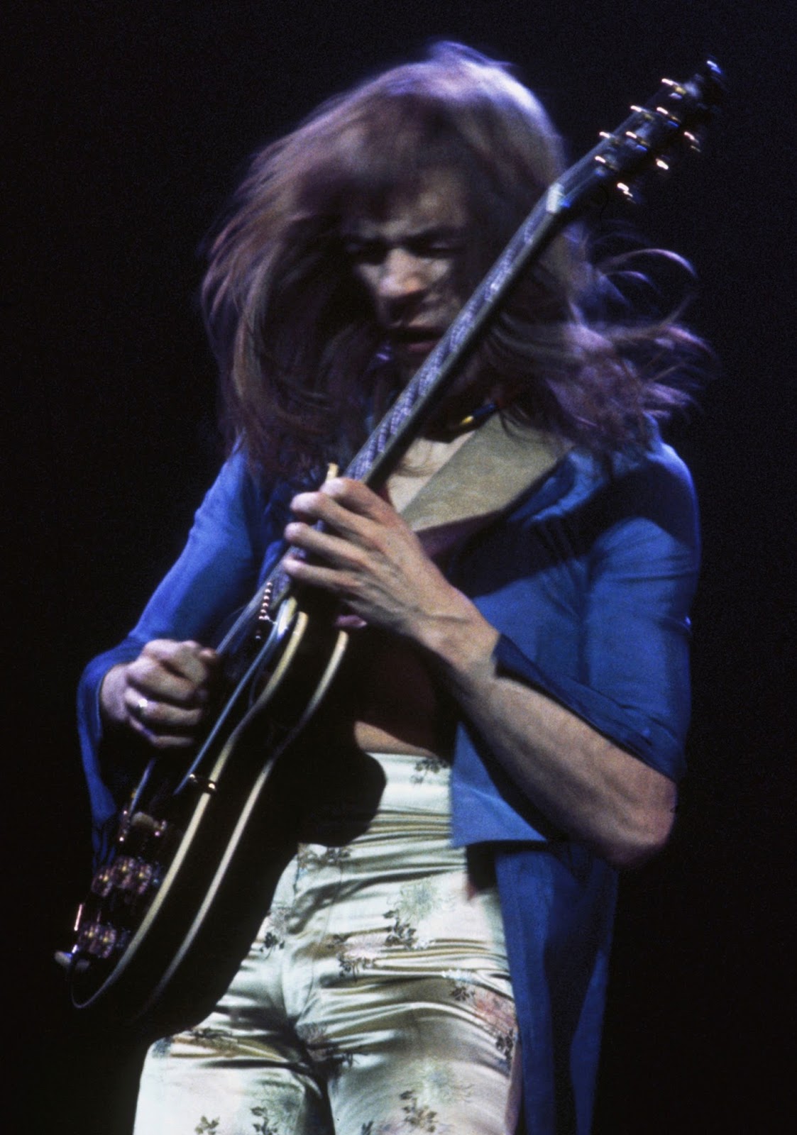 Forestdweller: Steve Howe