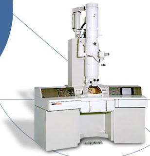 Best Top Desktop Wallpapers: Electron microscope images