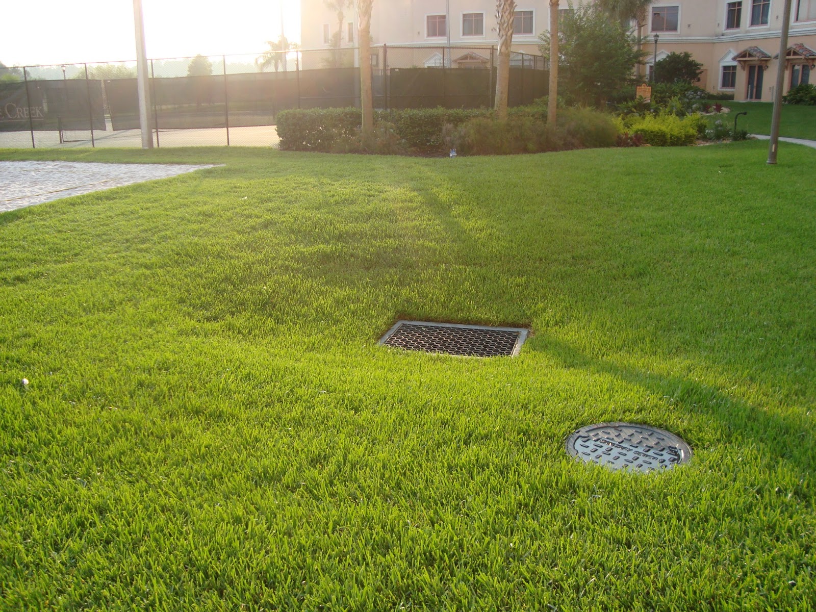 Kevin Songer: Awesome Stormwater Drainage Filtration (Plants of Course!)