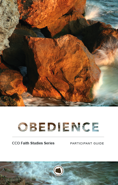 The Journey of a Bishop: The Nativity of the Blessed Virgin Mary - CCO Dedication Services ...