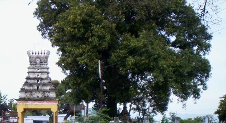 Tamilnadu Tourism: Kalakodi Dharma Sastha Temple Karukurichi ...