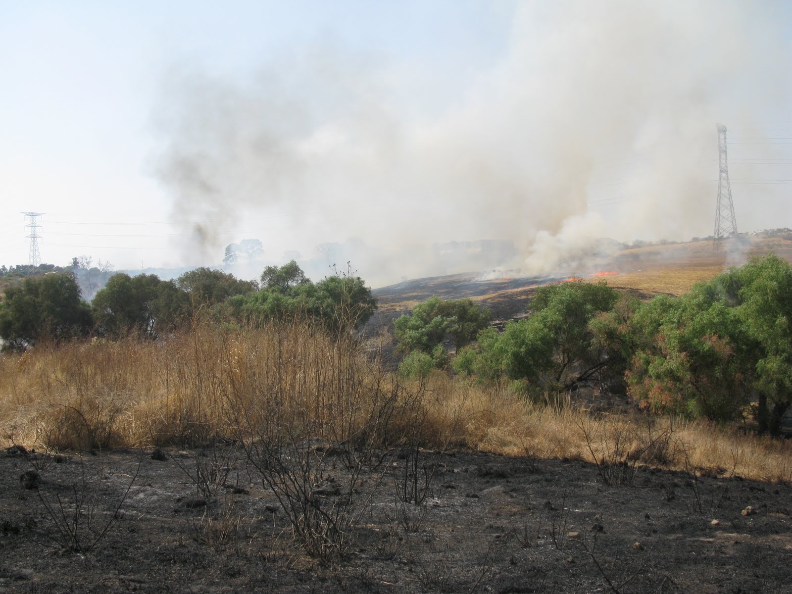 Comite Salvabosque Tigre II: Boletín de Prensa: Incendios provocados ...