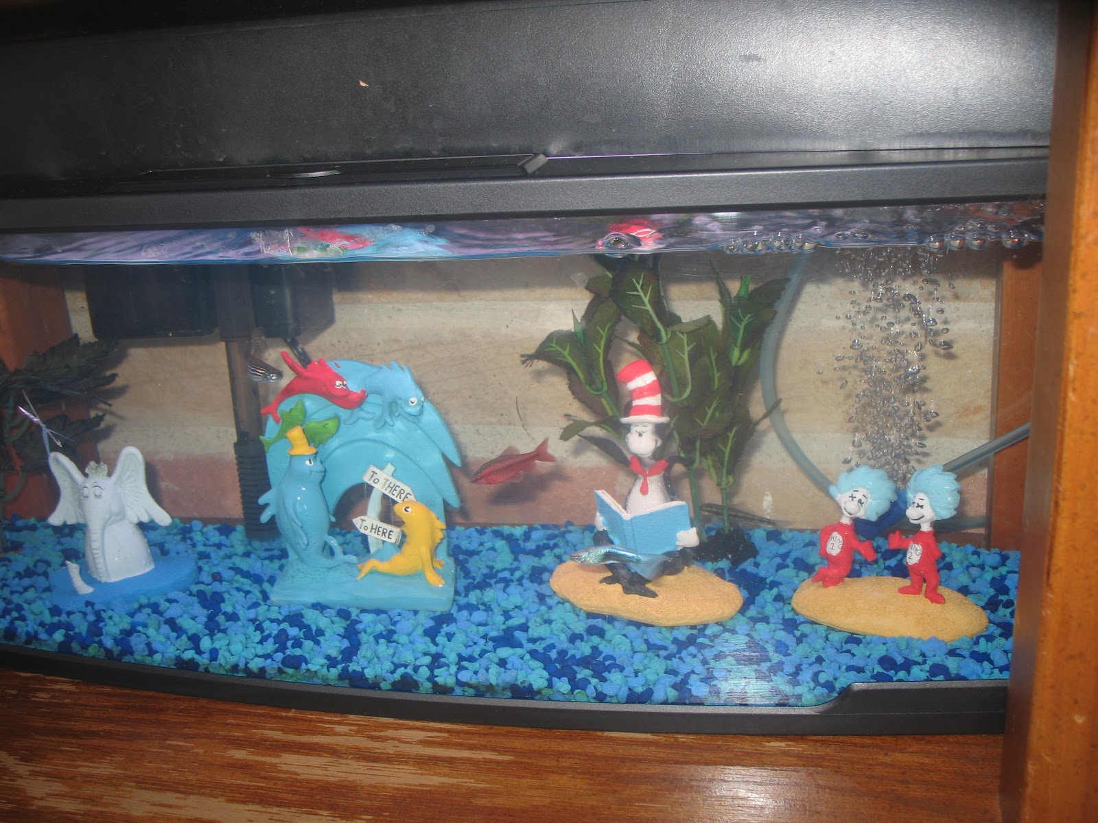 Growing Goettemoellers: Dr. Seuss Day