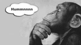 TRUSTWORTHY SAYINGS: Friday Funny - 28 things to ponder