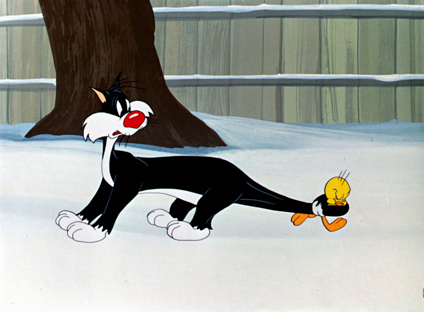 Tweetie Pie - cartoon characters