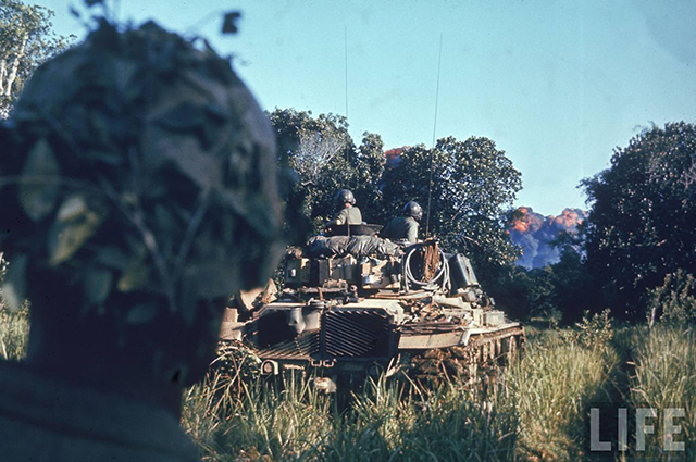 Harrowing Pictures Show the Brutality From the Vietnam War in 1966 ...