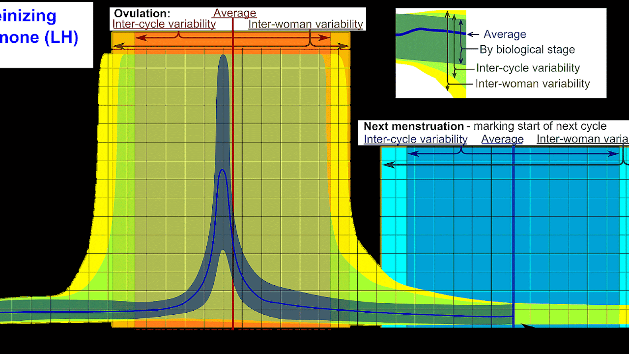 Luteinizing Hormone Levels In Menopause Menopause Choices