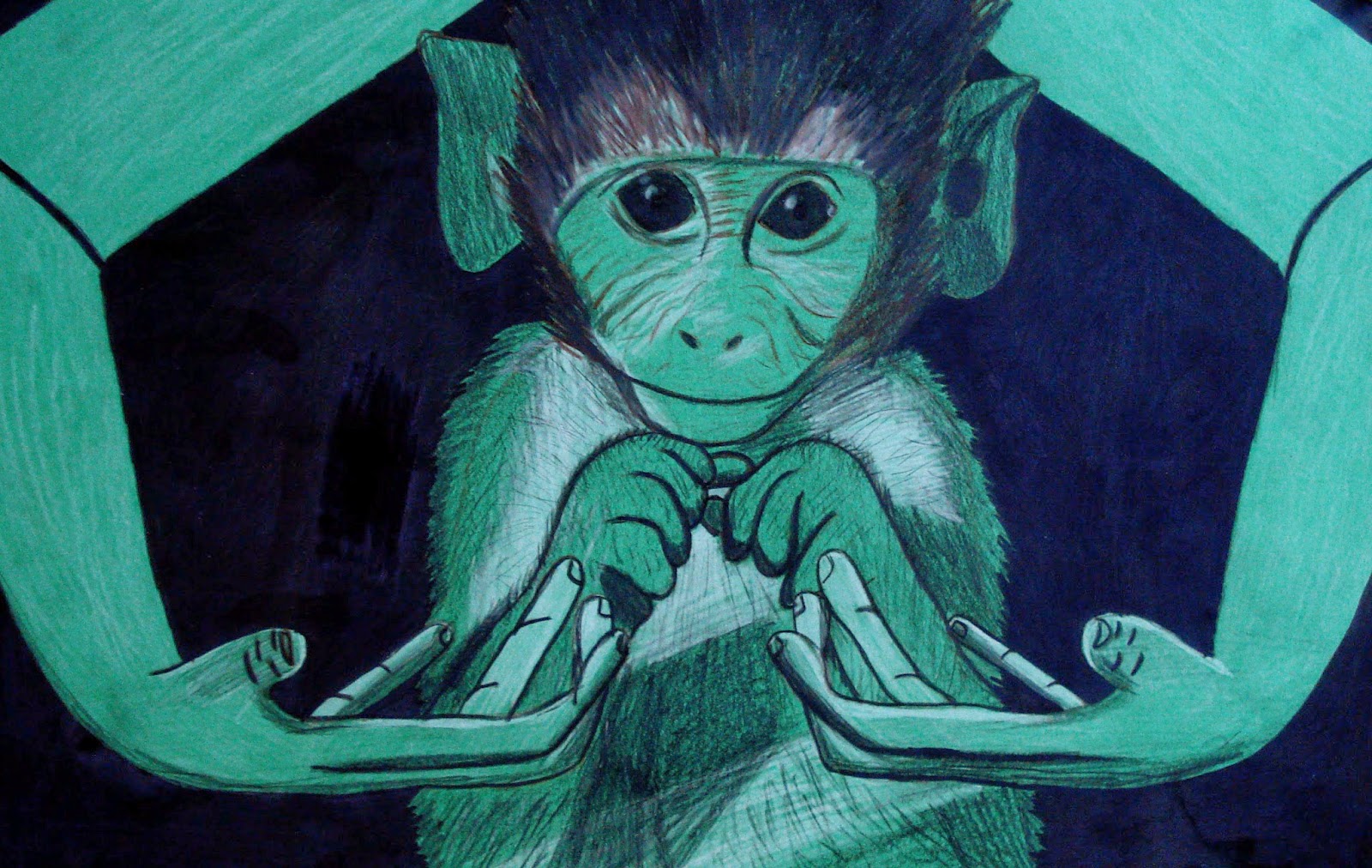 Holy Karpe: American Sign Language Animals