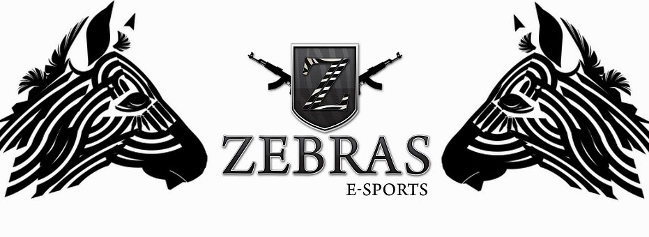 ZEBRAS e-Sports: Team ZEBRAS e-Sports