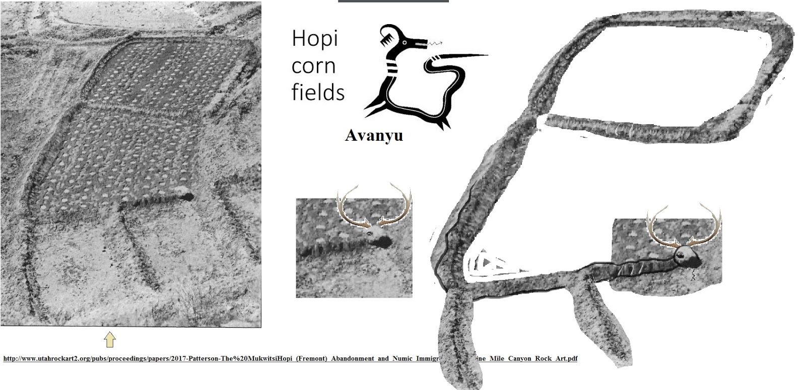 Waking Up on Turtle Island: Avanyu The Water Serpent