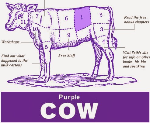 Amazon Drone, The Purple Cow, and Marketing