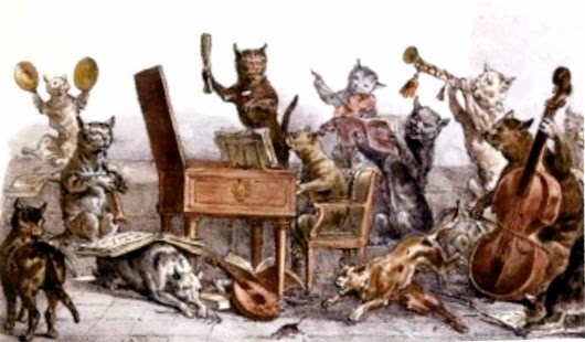 Irish English: What is cat melodeon?