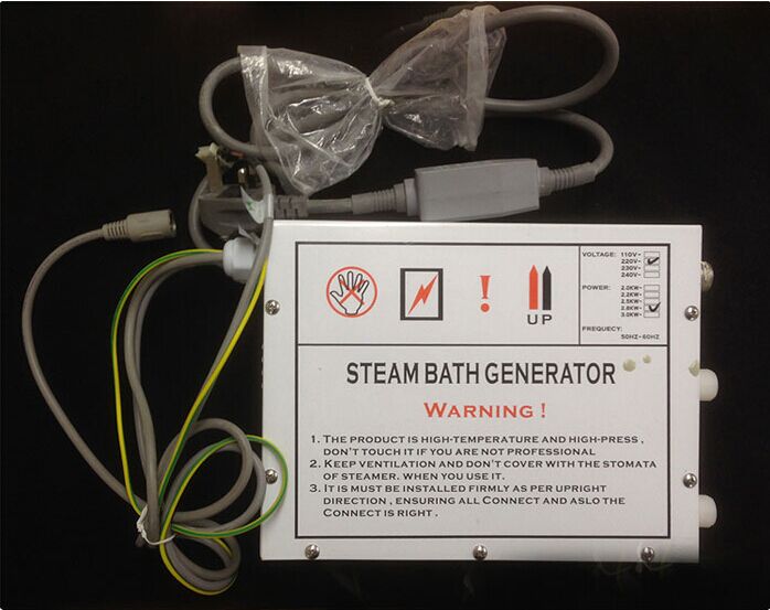Replacement Steam Generator: Replacement STEAM GENERATOR MK-117