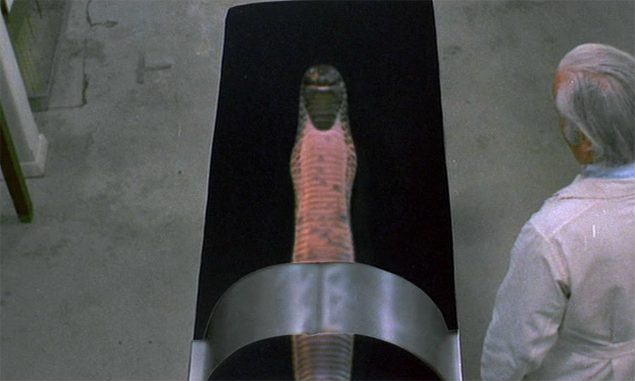 Sssssss Movie Review |Jigsaw's Lair