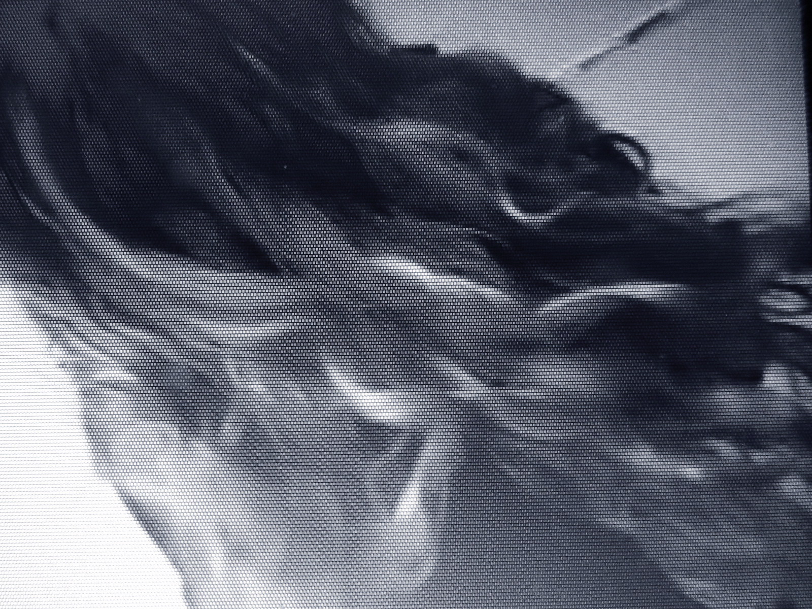 internautaSOY: KARLA PLATAS UN RECUERDO EN TRICOFILIA