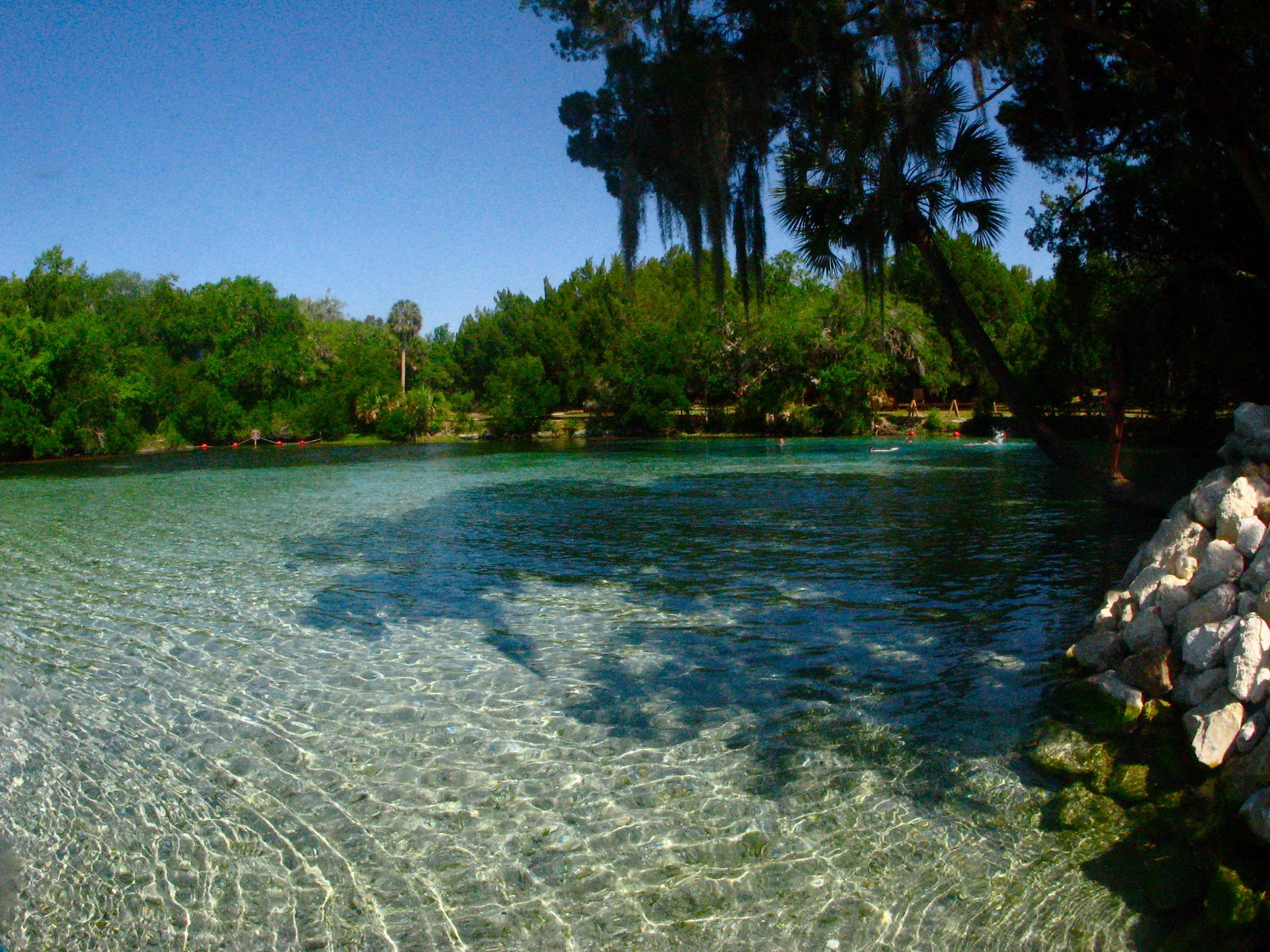 Magnitude 1: #10 Silver Glen Spring