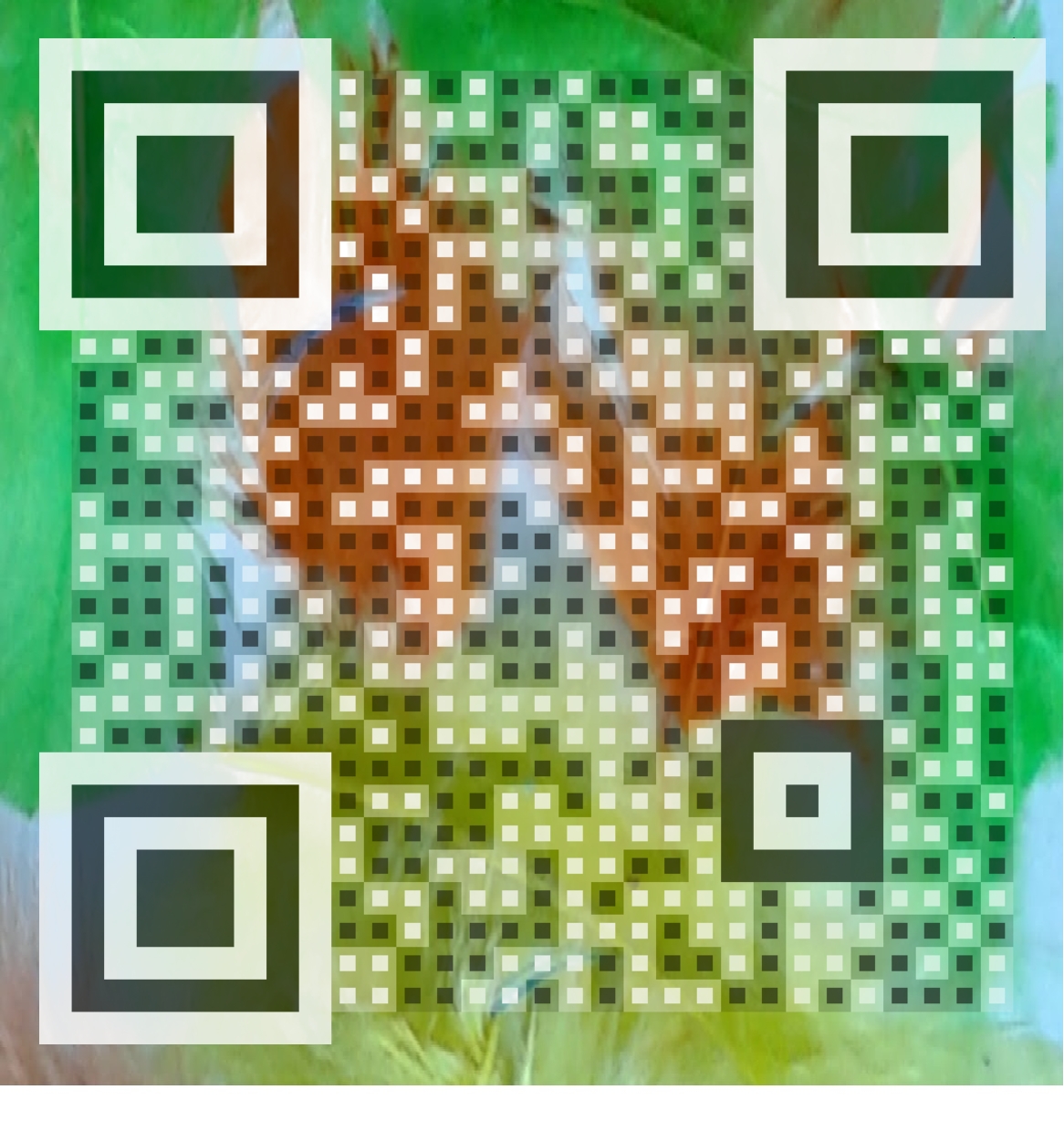 Muzische Aha Erlebnis van Wim Vanderwaeren: Afgewerkte QR codes gemaakt ...