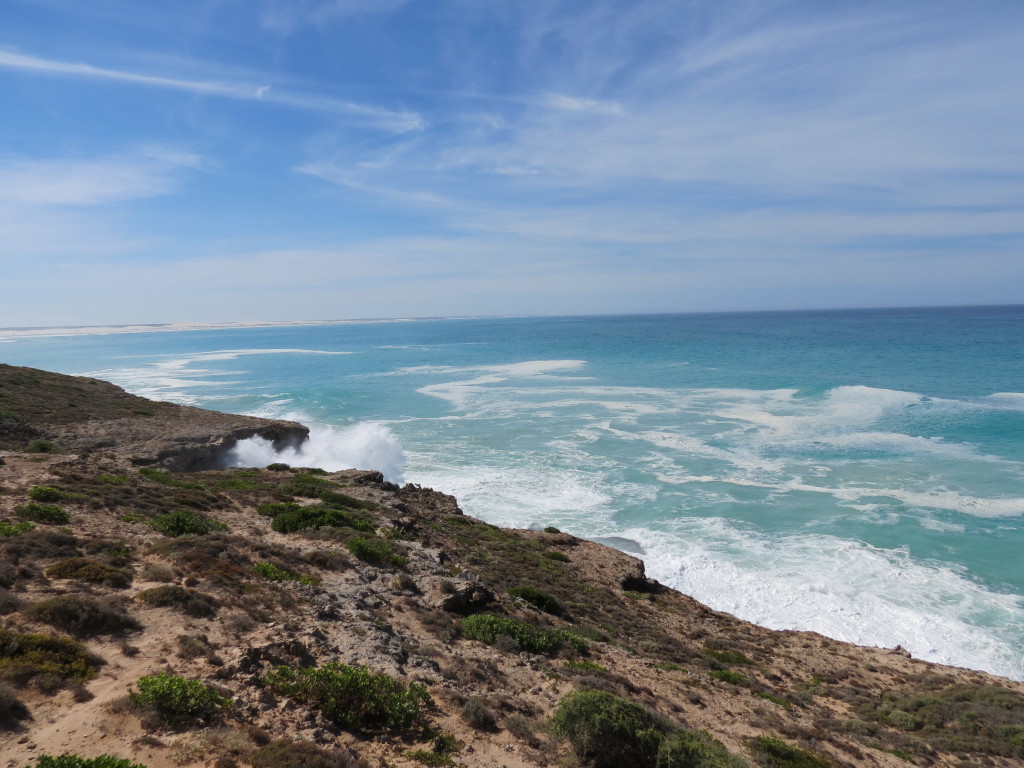 The Travelling Novocastrians: The Head of the Bight SA