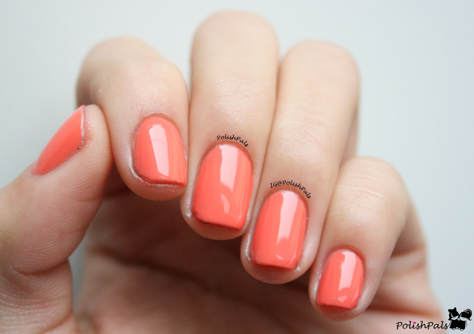 Polish Pals: In Theory by Color Club