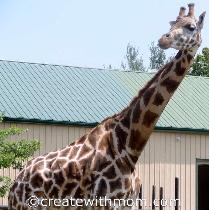 Create With Mom: Win 1 of 5 Tickets for a Family of 4 to Spend a Fun ...