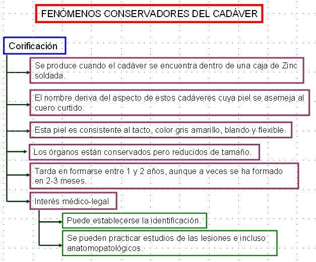 Momificación, saponificación, corificación, congelación ...