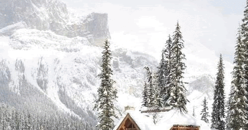 Gif_WINTER_Snowfall_ Animated Image_23 | Joy Design Studio