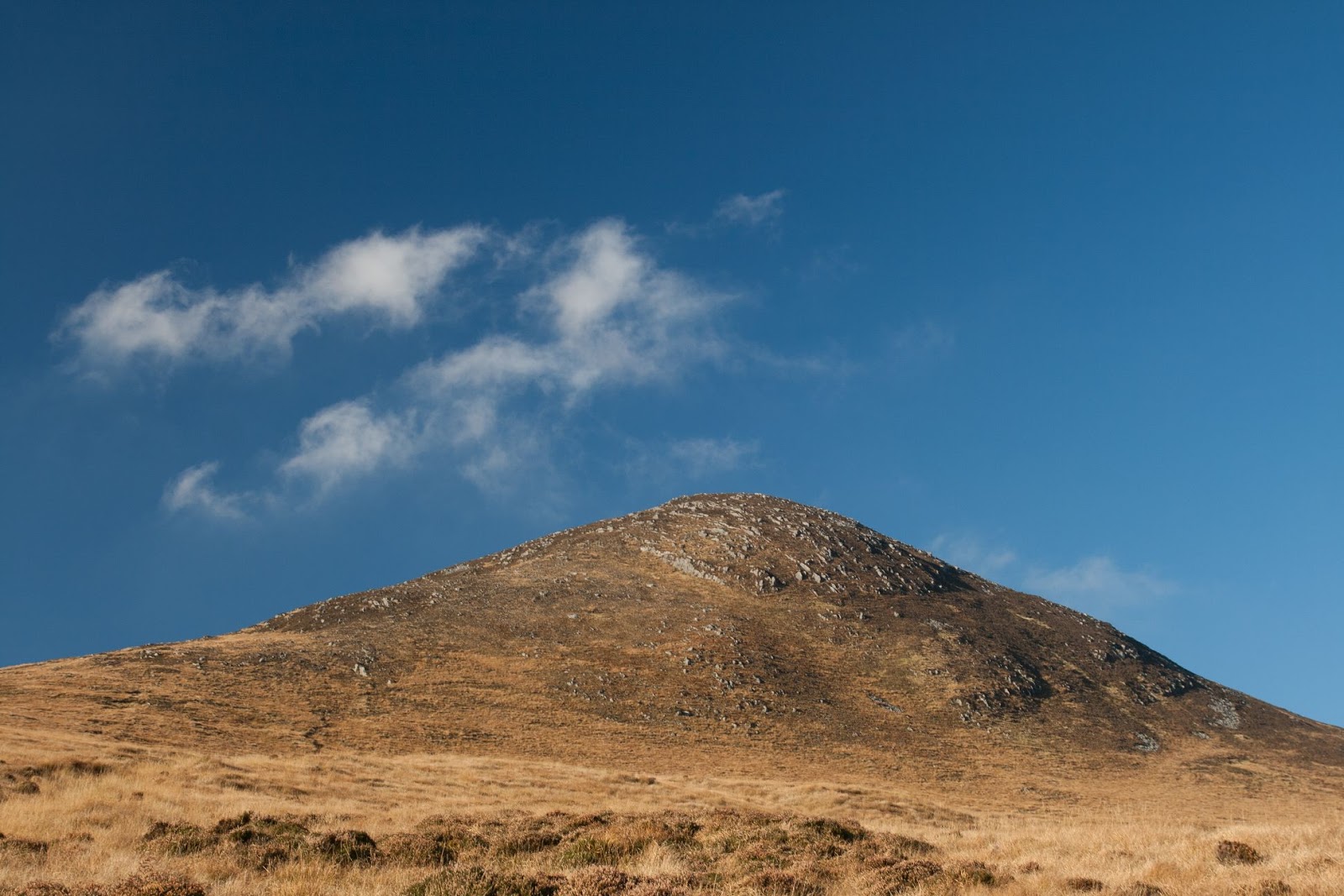 Islay Natural History Trust: Beinn Bheigier Circumnavigation