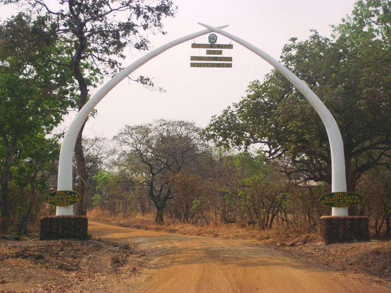 Karibu katika hifadhi ya taifa ya katavi | JamiiForums