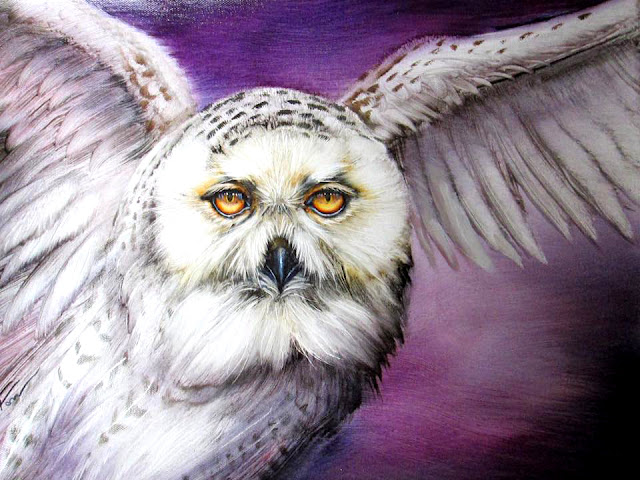 Martin Katon Art Studio