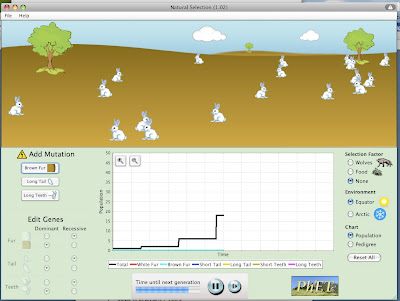 NGHS Environmental Science Blog: Natural Selection Simulation