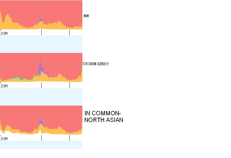 Horsley's blog: Gedmatch Eurogenes k12b by chr comparison