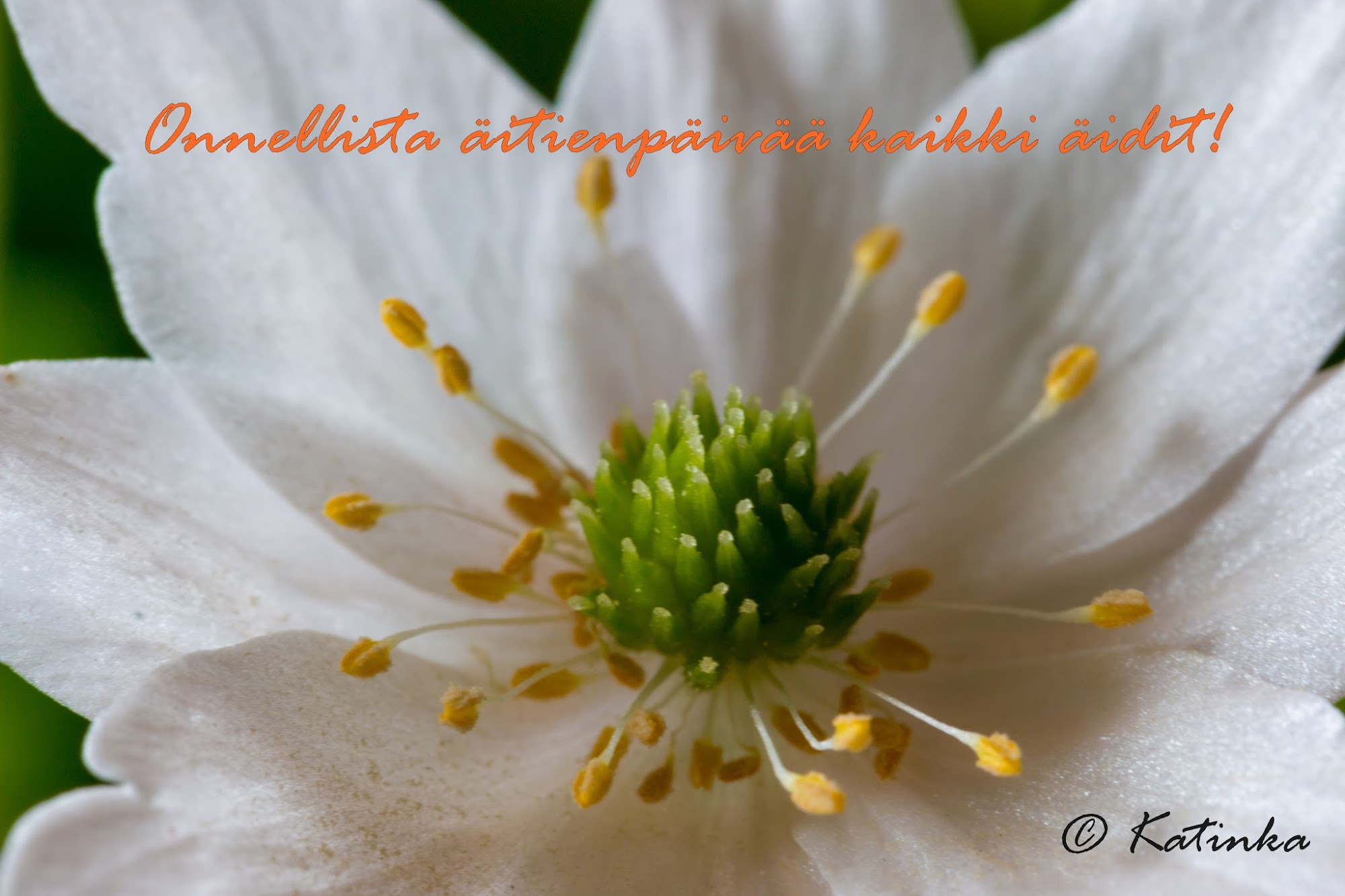 Haaveena hyvä kuva: Onnea äidit!