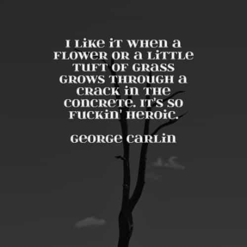 85 Nature quotes that'll inspire to love and value its beauty