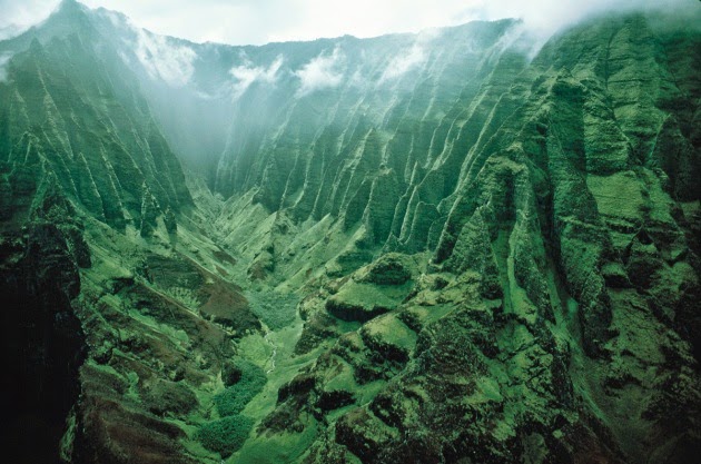 Biodiversity Science: Biodiversity of the Congo Basin