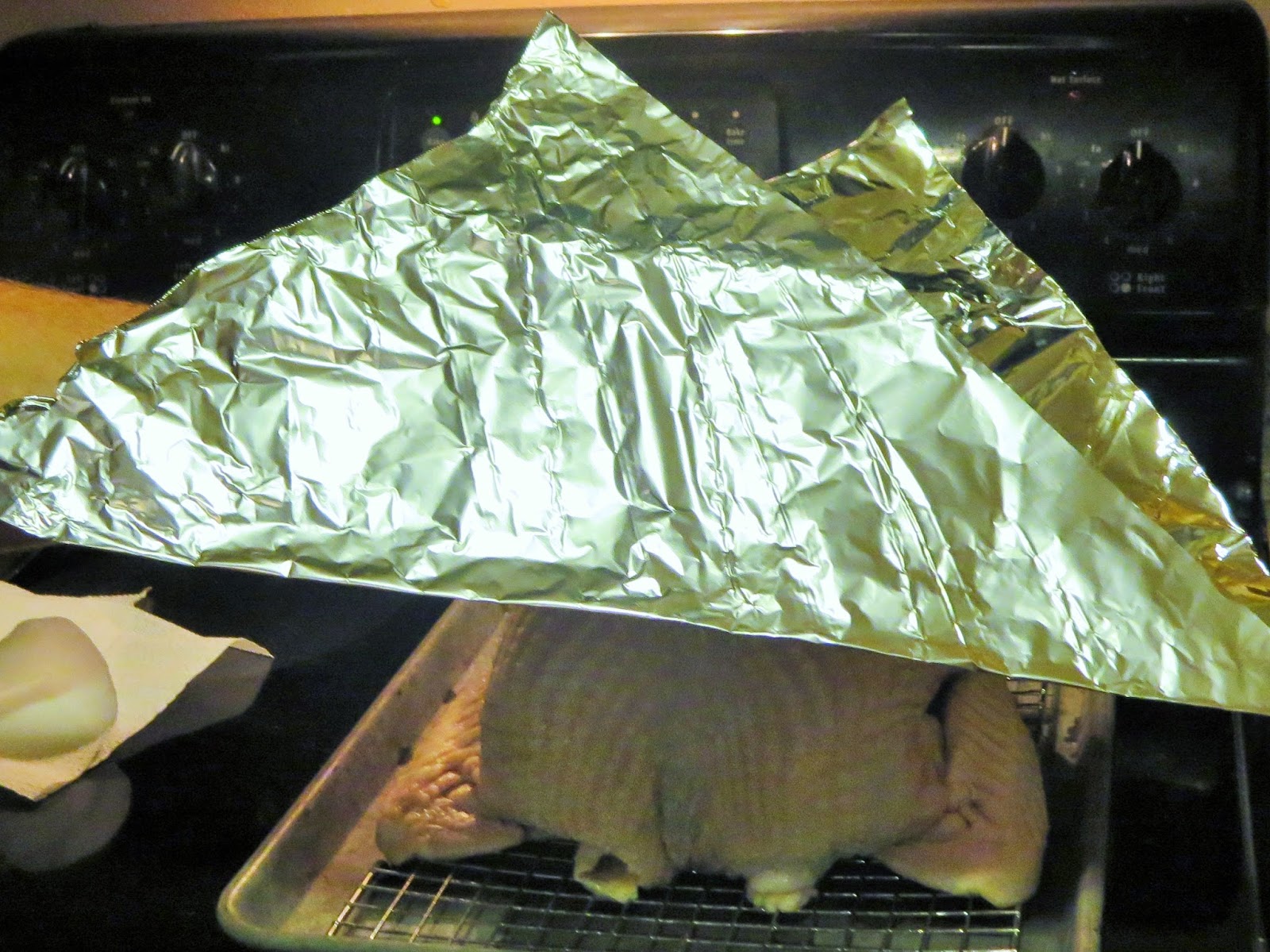 Ramona Avenue: How to Brine and Roast a Turkey ONLY READ IF YOU LIKE ...