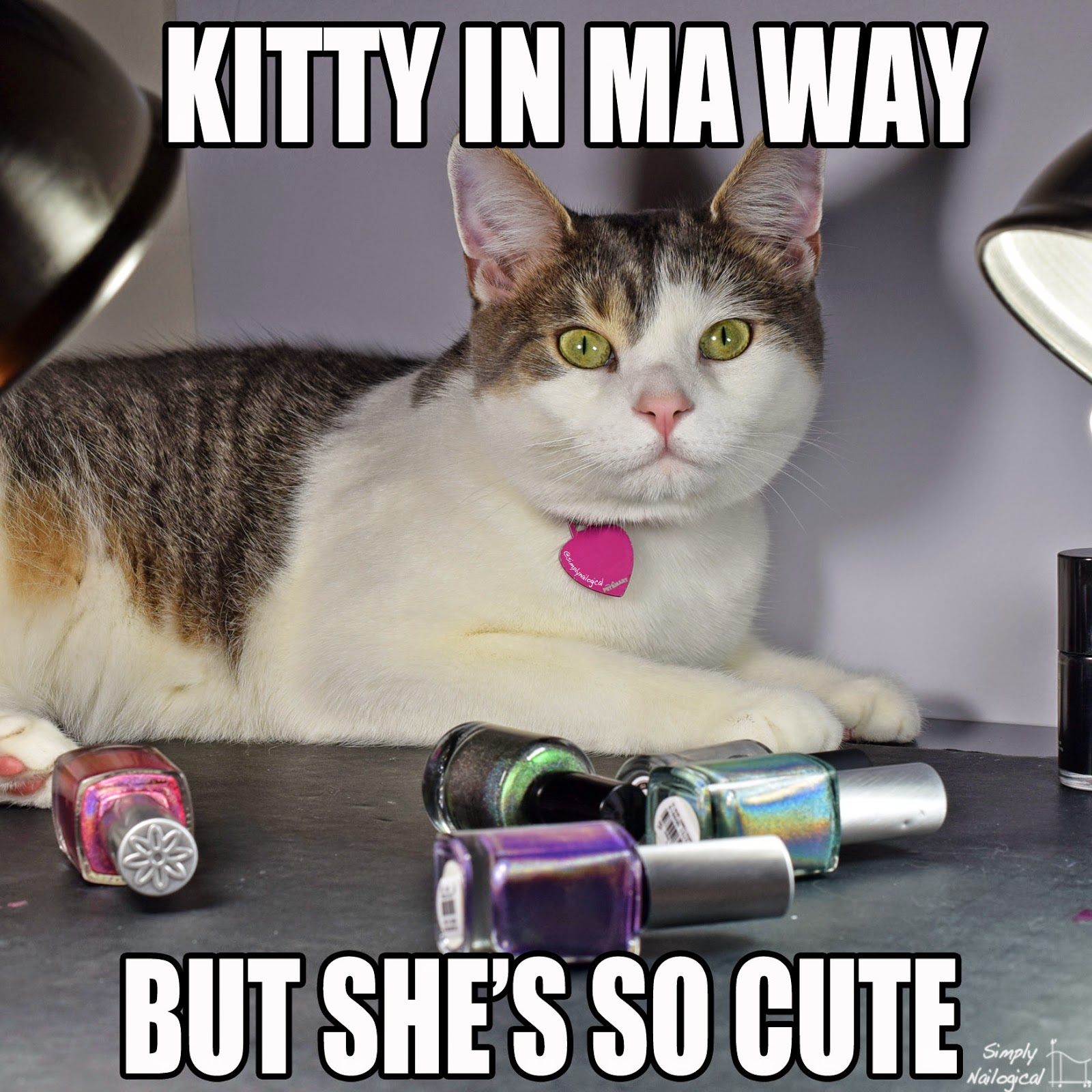 Simply Nailogical: Party Mix