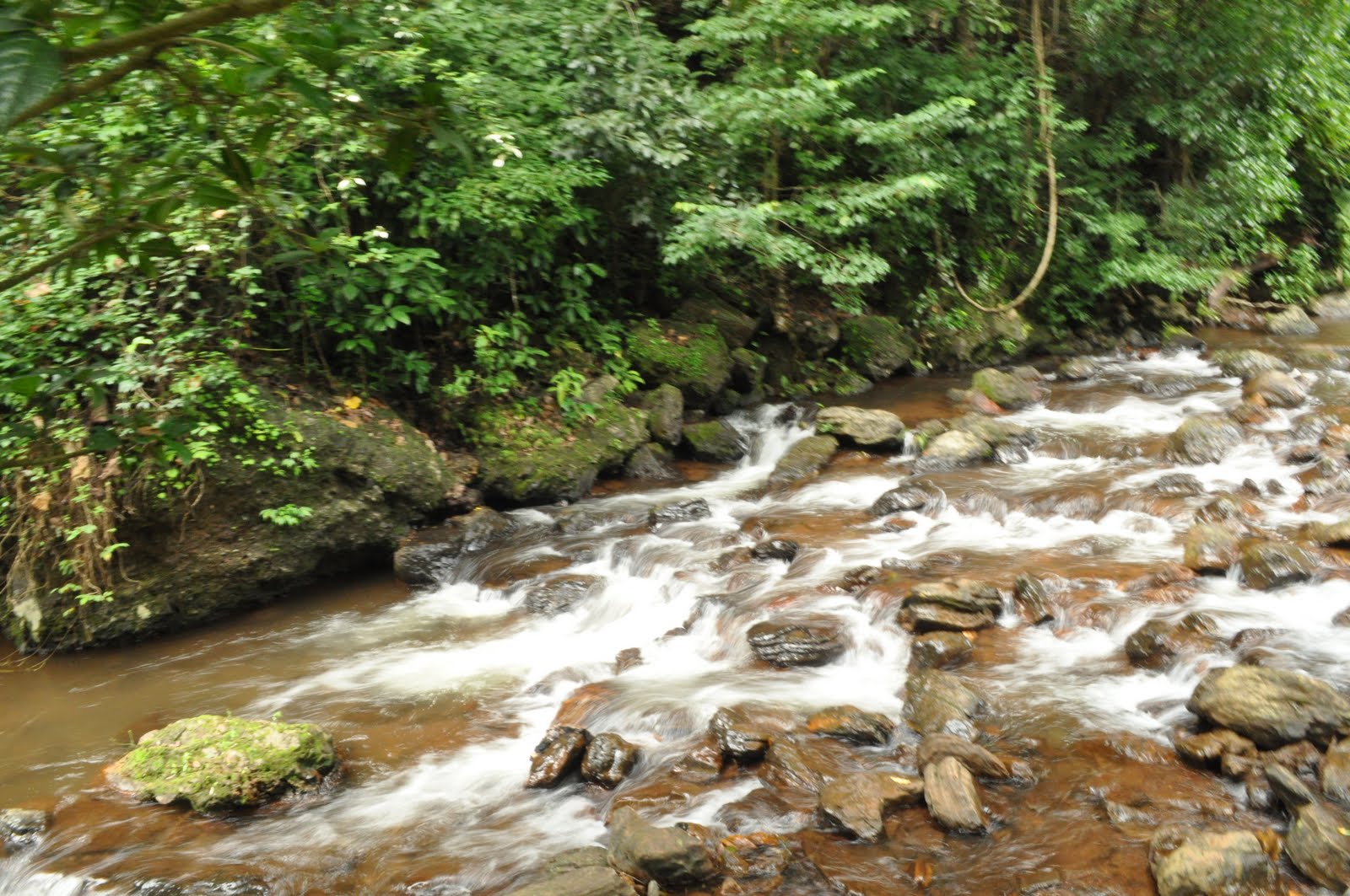 Road Bloke: Hebbe Falls, Chikmagalur