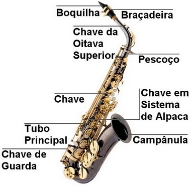 Mundo do Saxofone: Partes do Instrumento