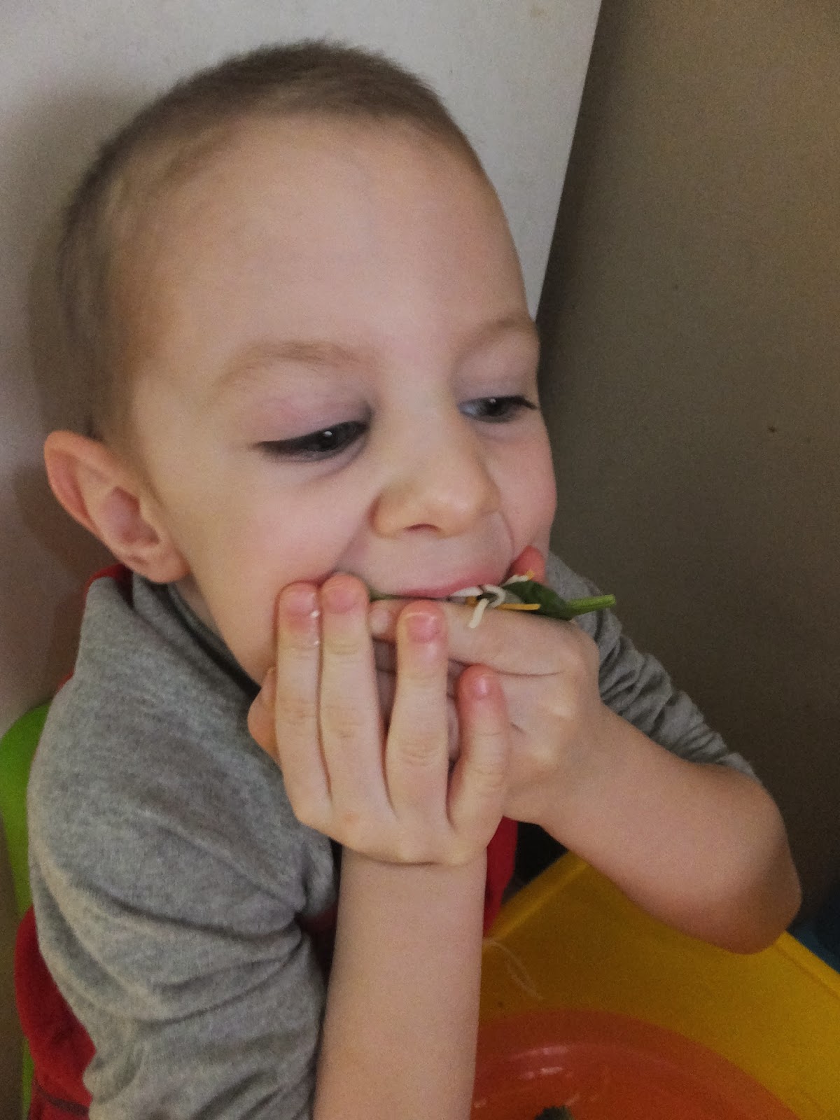 Kidspert: Sensory Snacks