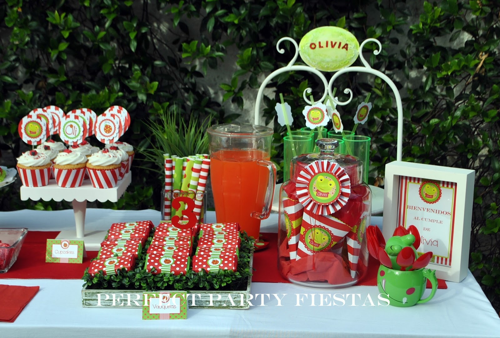 Perfect Party: Fiesta temática del Sapo Pepe - Garden Party